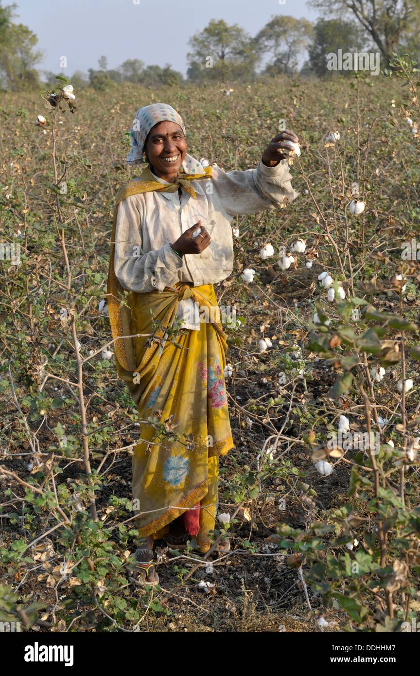 Indian woman farmer standing field cotton hi-res stock photography and ...