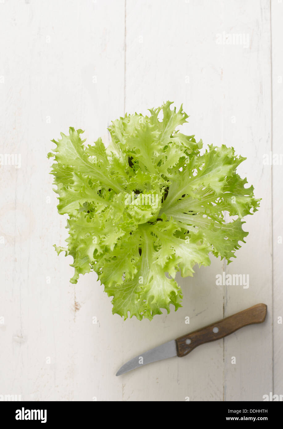 Healthy batavia lettuce hi-res stock photography and images - Alamy