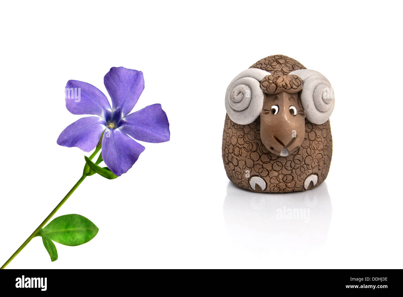 Funny lamb hi-res stock photography and images - Alamy