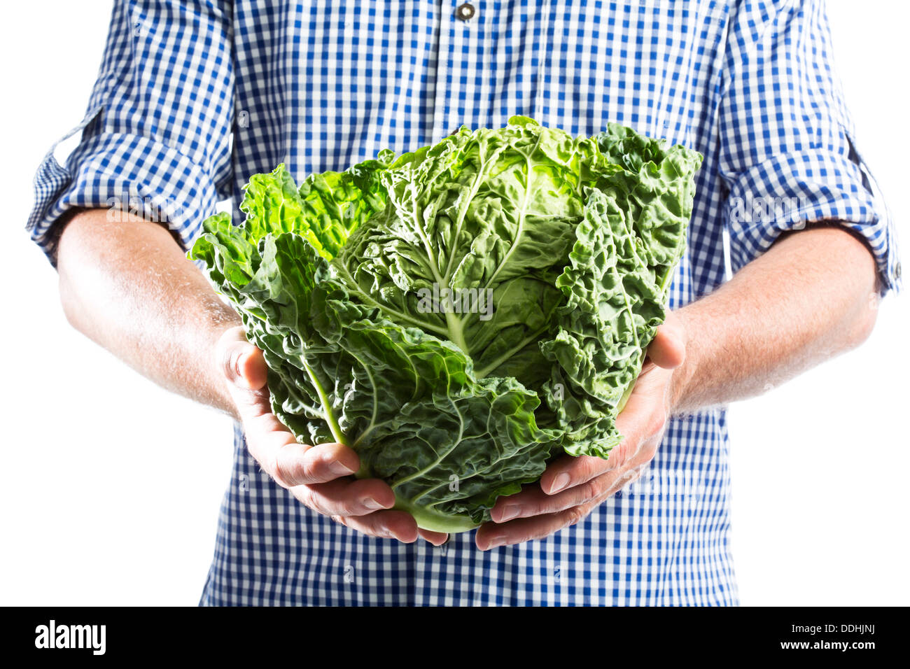 Mature man holding savoy cabbage against white background, close up ...