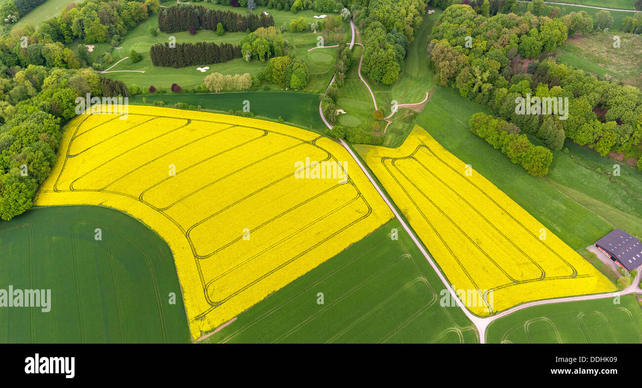 Aerial view, rape fields, at top, the Essen golf club "Haus Oefte Stock ...
