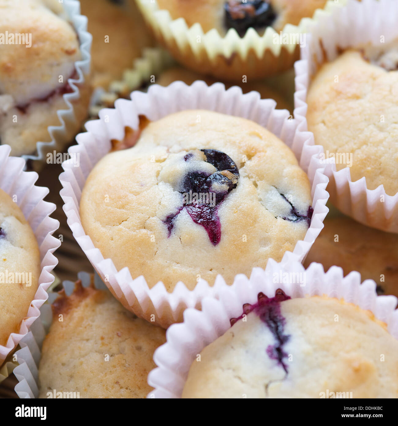 A large group of blueberry muffins Stock Photo - Alamy