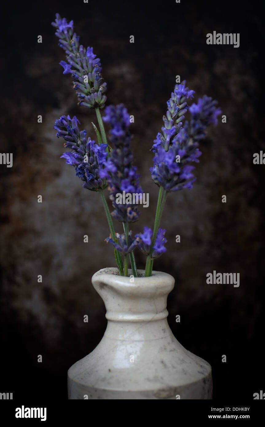 Lavender (lavandula) in vase Stock Photo - Alamy