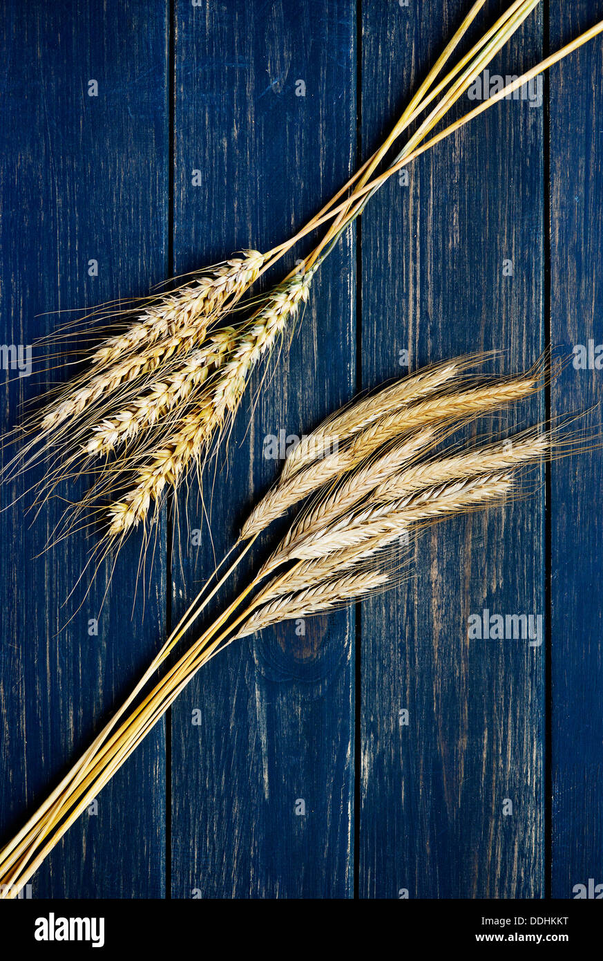 Types of wheat hi-res stock photography and images - Alamy