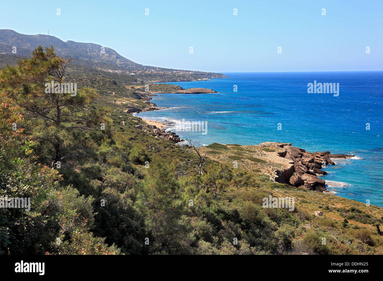 Lapta hi-res stock photography and images - Alamy