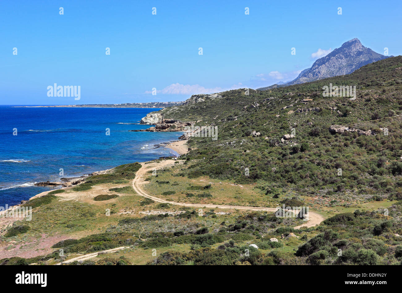 Lapta hi-res stock photography and images - Alamy