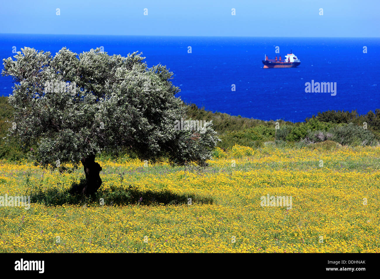 Ddhnak hi-res stock photography and images - Alamy