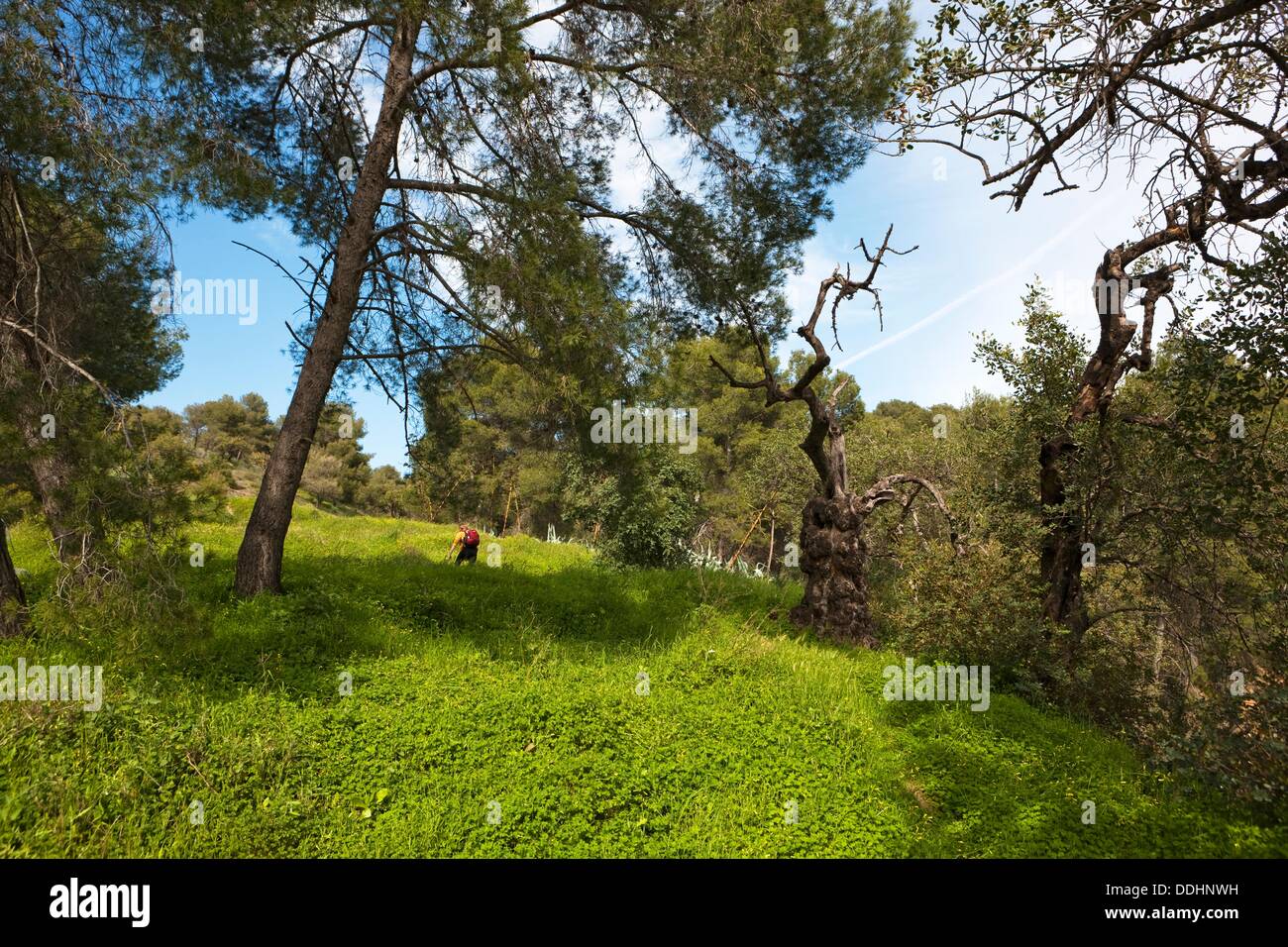 Parque Natural Montes De Malaga High Resolution Stock Photography and ...