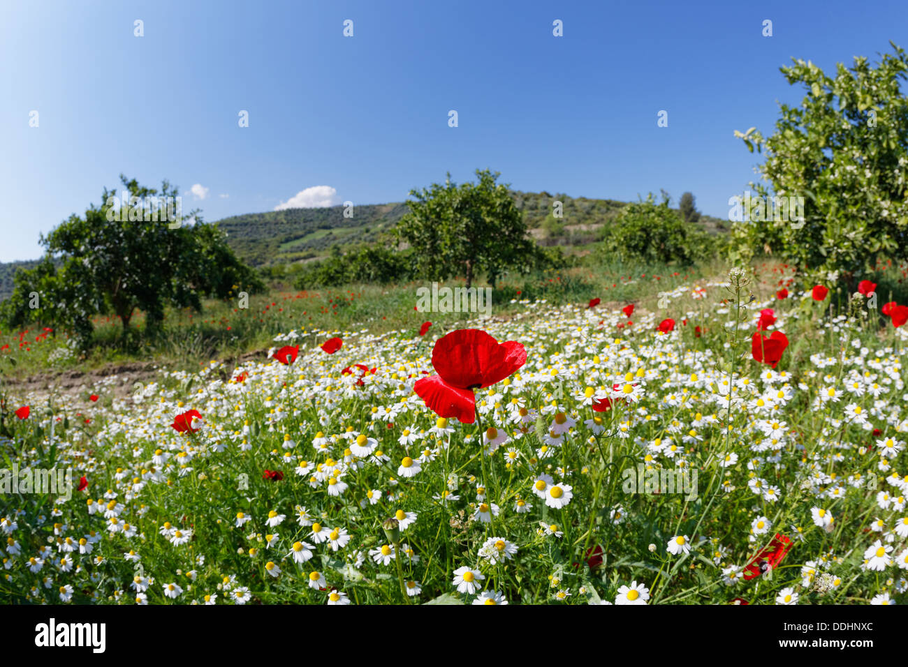 Meander valley hi-res stock photography and images - Alamy