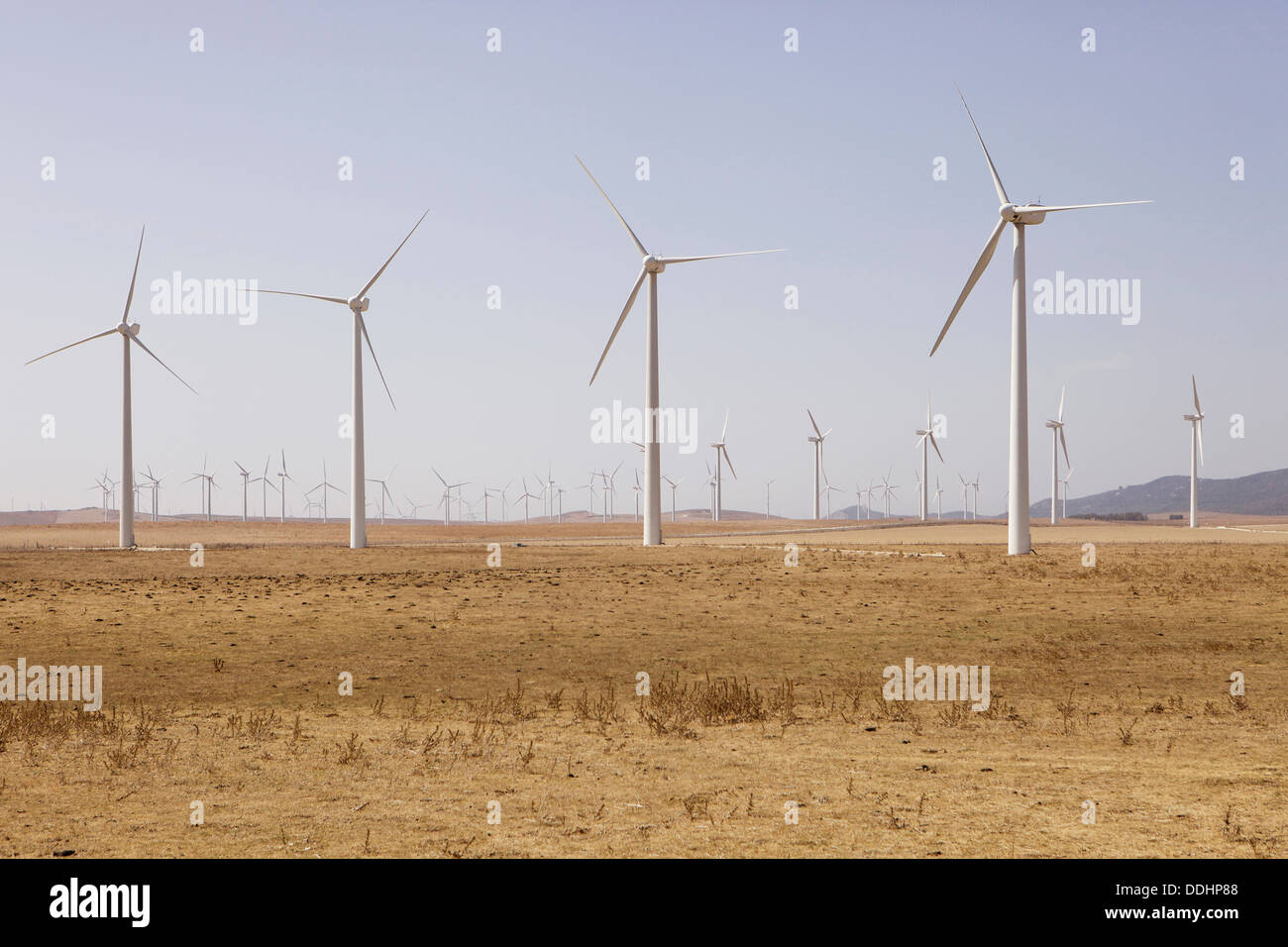 Spain, View of wind turbine on field Stock Photo - Alamy