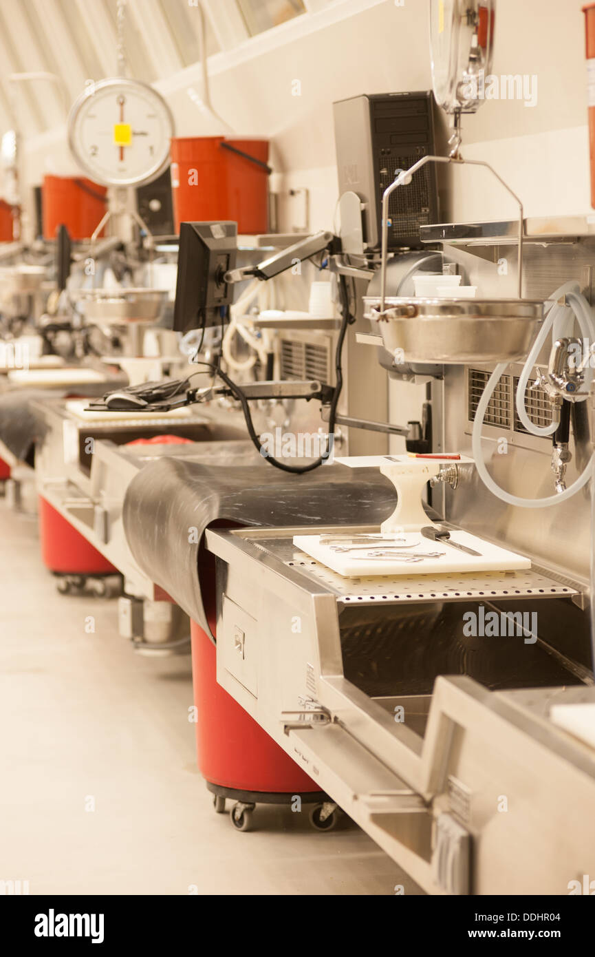 Autopsy Examination High Resolution Stock Photography and Images - Alamy