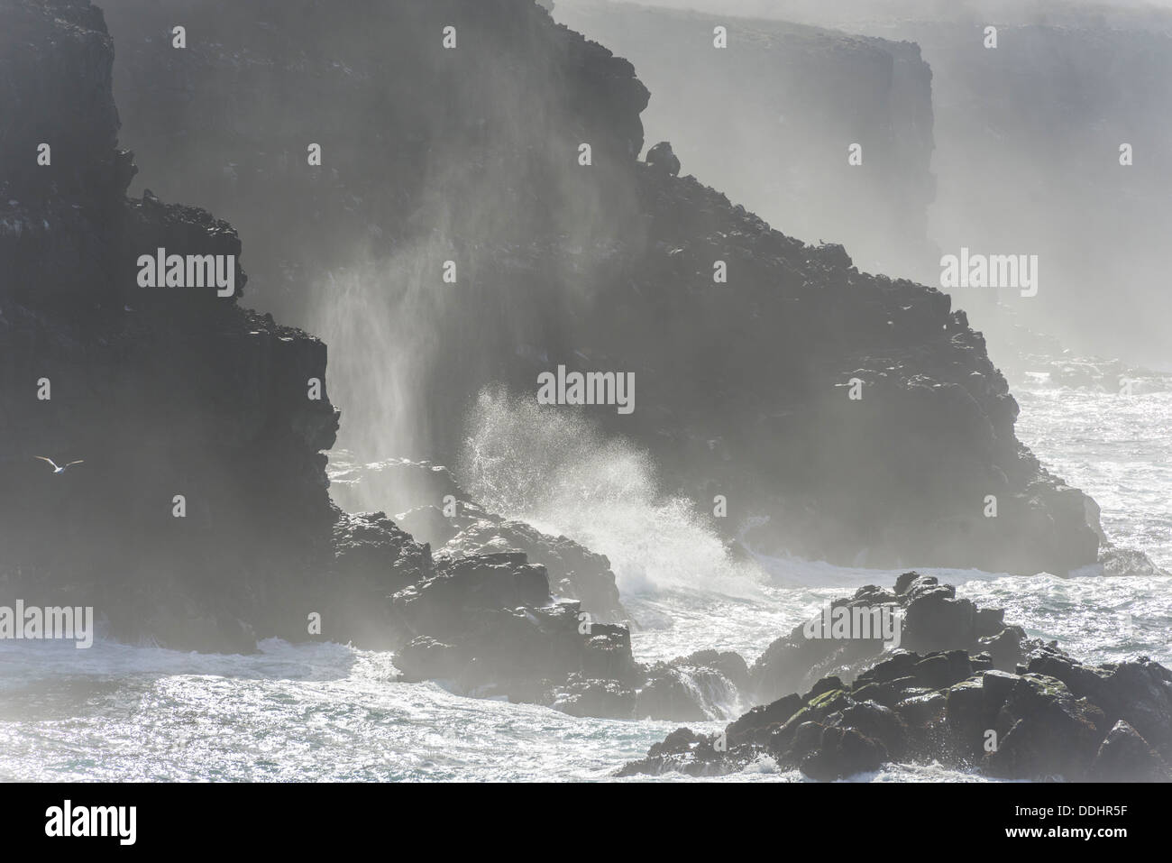 Surf with cliffs Stock Photo - Alamy