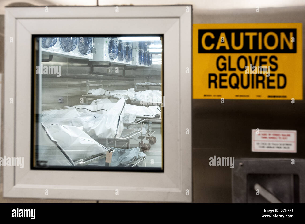 Corpses in the cooler of the State Medical Examiners Office - Morgue ...
