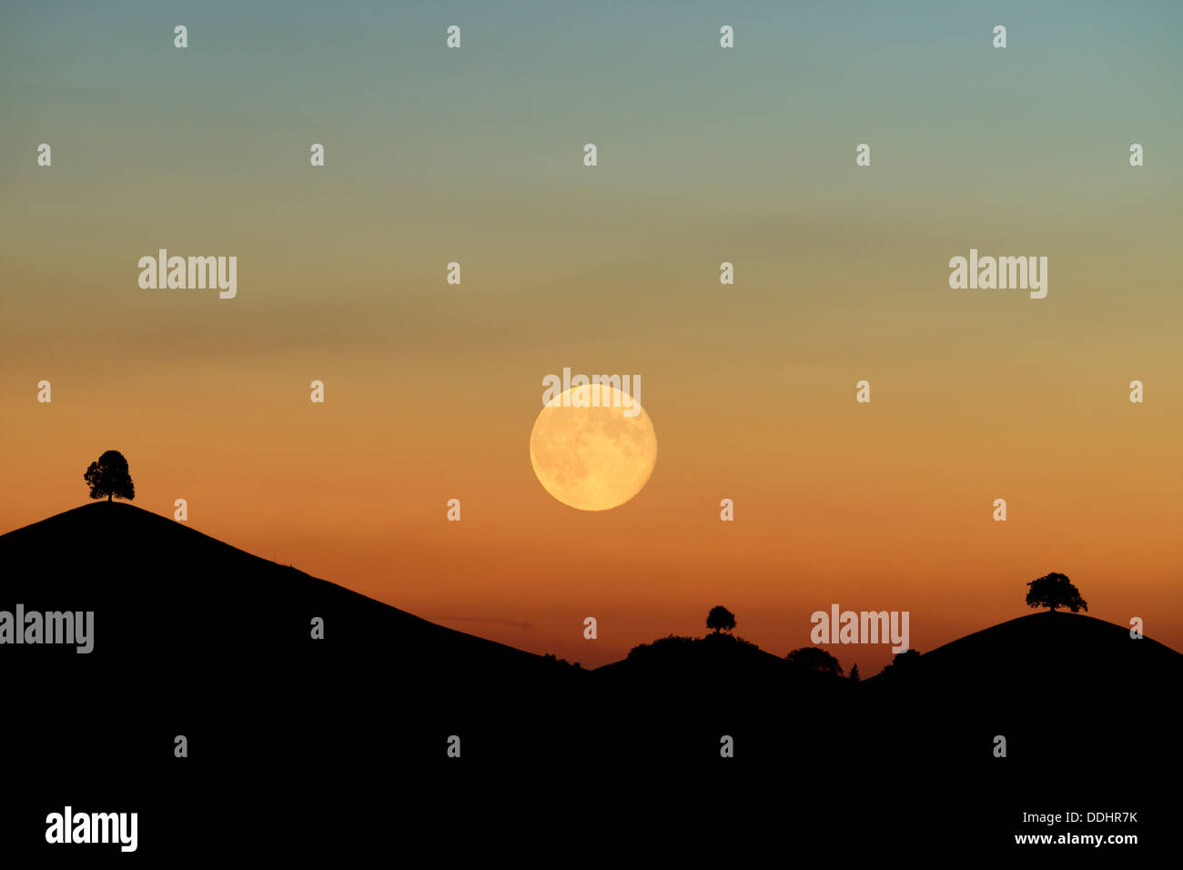 Double exposure, full moon before sunset with trees on moraine hill ...