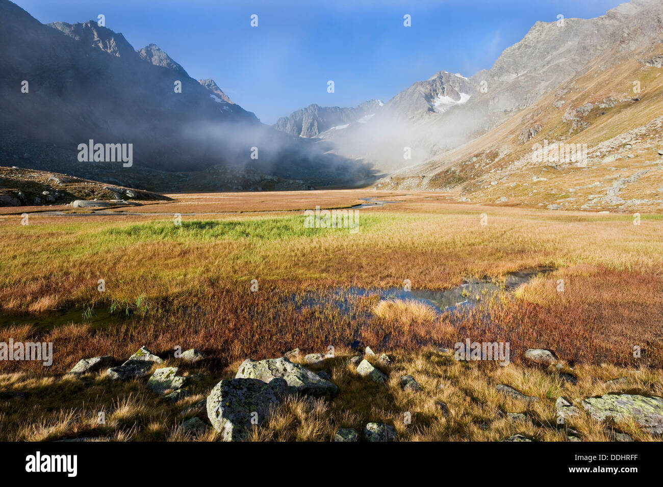 Raised mire of Hohes Moos in the morning light Stock Photo - Alamy