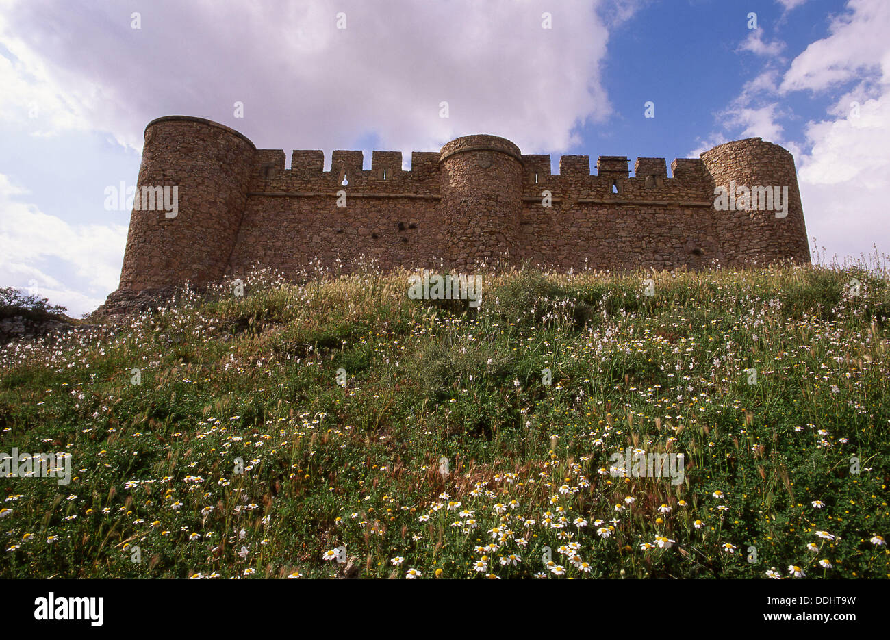 Chinchilla de monte aragon hi-res stock photography and images - Alamy