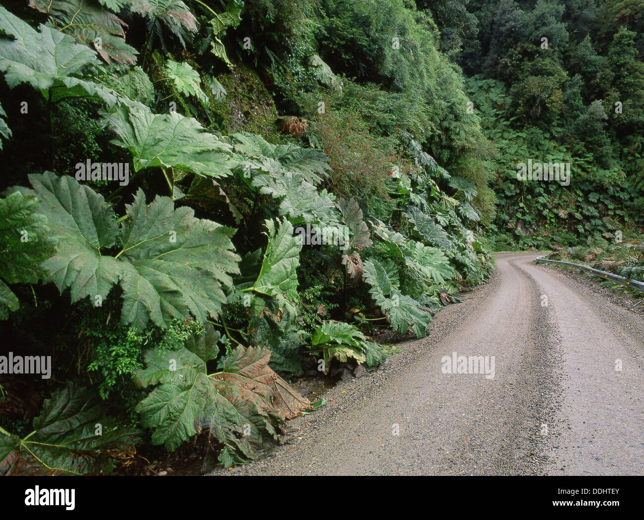 Nalca High Resolution Stock Photography and Images - Alamy