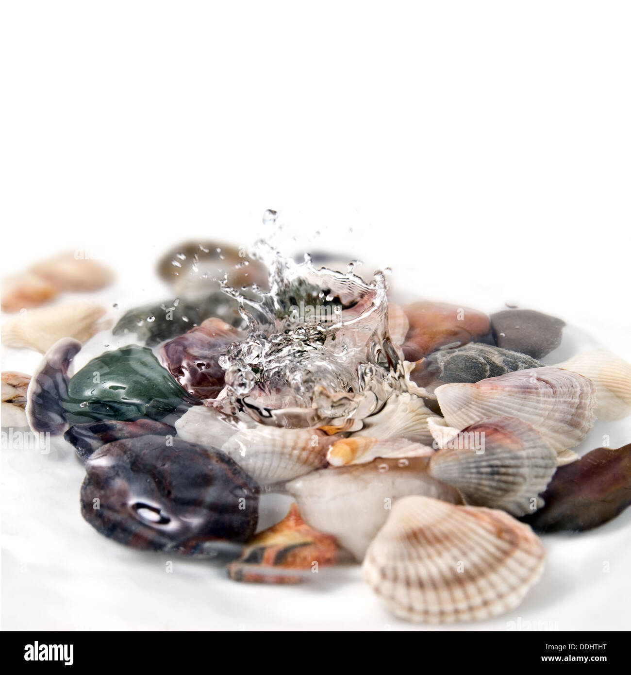 water splash with various color shells isolated on white Stock Photo ...