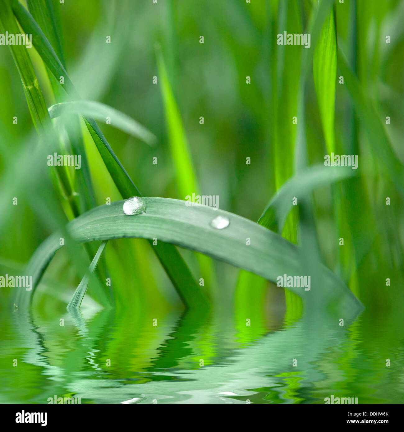 Back drop texture hi-res stock photography and images - Alamy