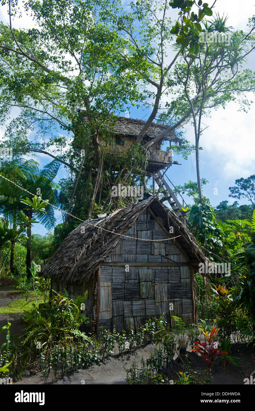 Tree house in a Banyan tree Stock Photo - Alamy