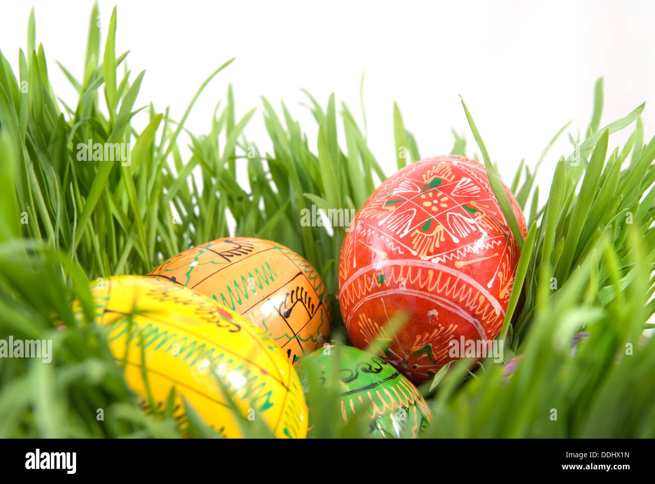 color easter eggs in nest from green grass on white Stock Photo - Alamy