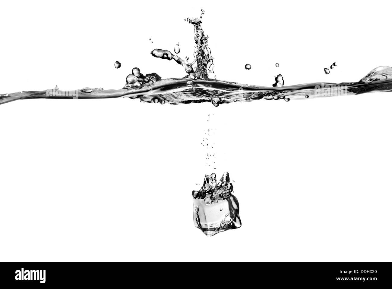 ice cube dropped into water with splash isolated on white Stock Photo ...