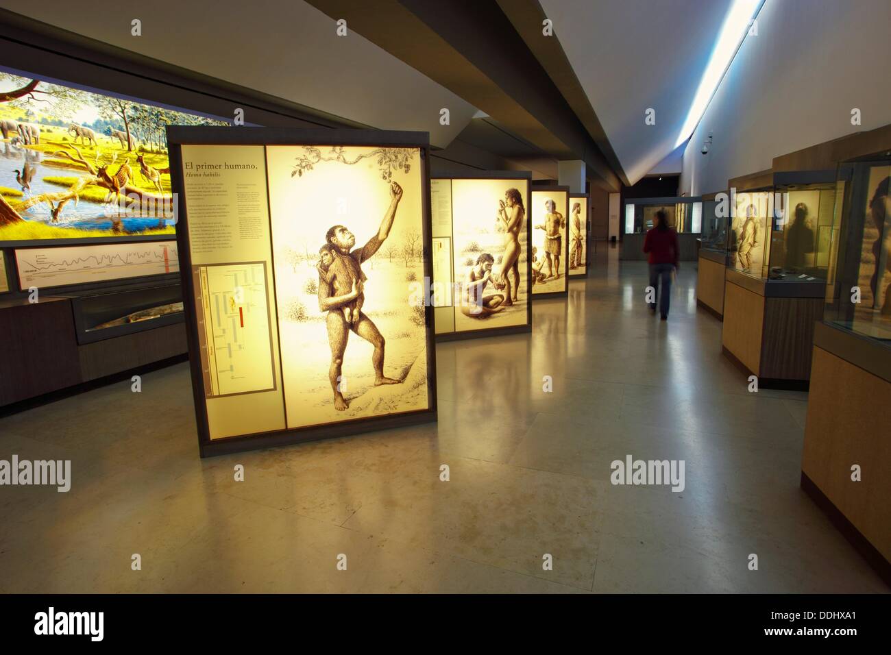 Altamira museum hi-res stock photography and images - Alamy