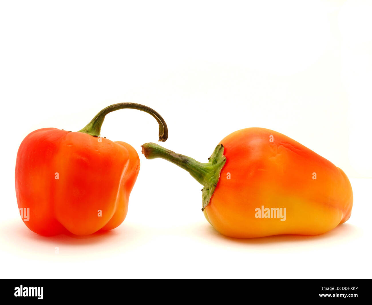 Pepper on a white background Stock Photo - Alamy