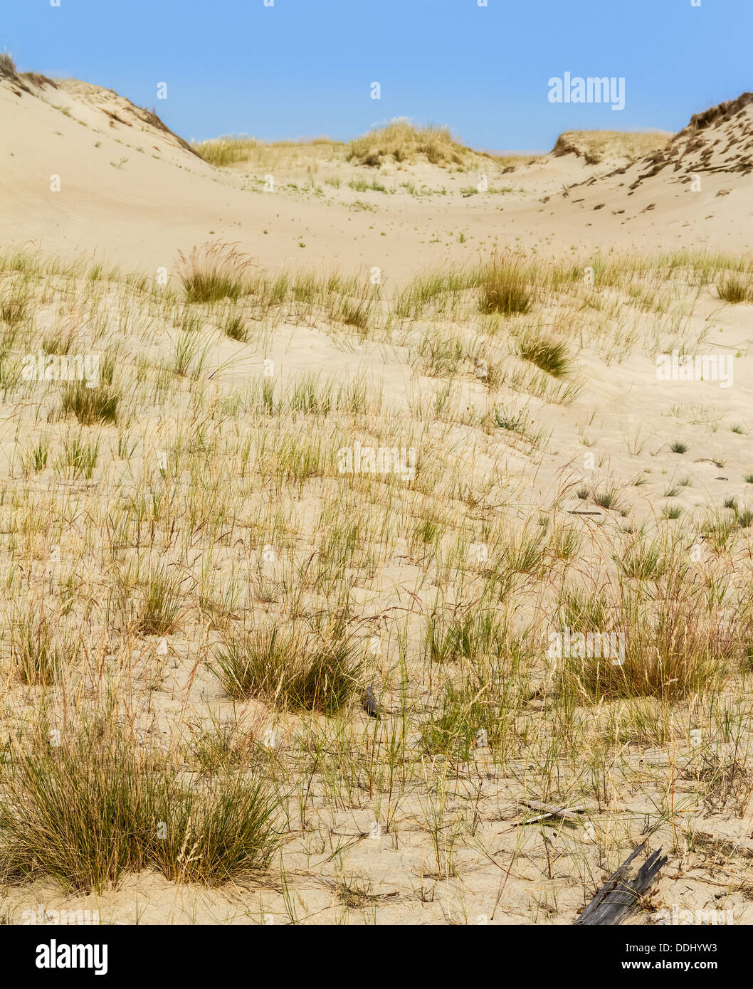 Sandy spit landscape hi-res stock photography and images - Alamy