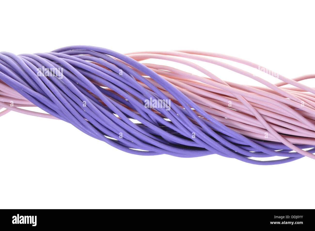 Purple cables line isolated on white background Stock Photo - Alamy