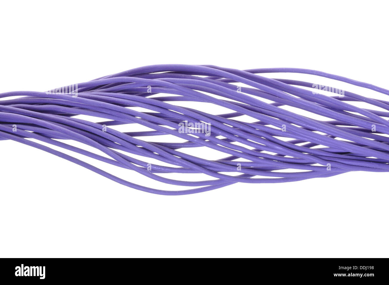 Purple cables line isolated on white background Stock Photo - Alamy