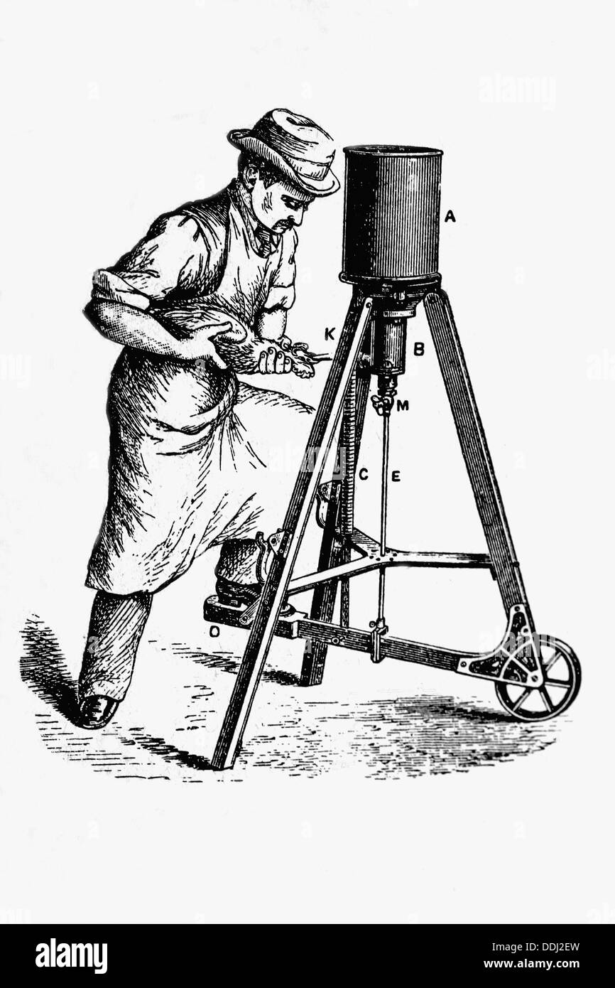 Liver Drawing High Resolution Stock Photography and Images - Alamy