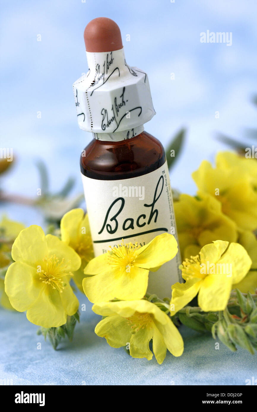 Bach Flower Essence High Resolution Stock Photography and Images - Alamy