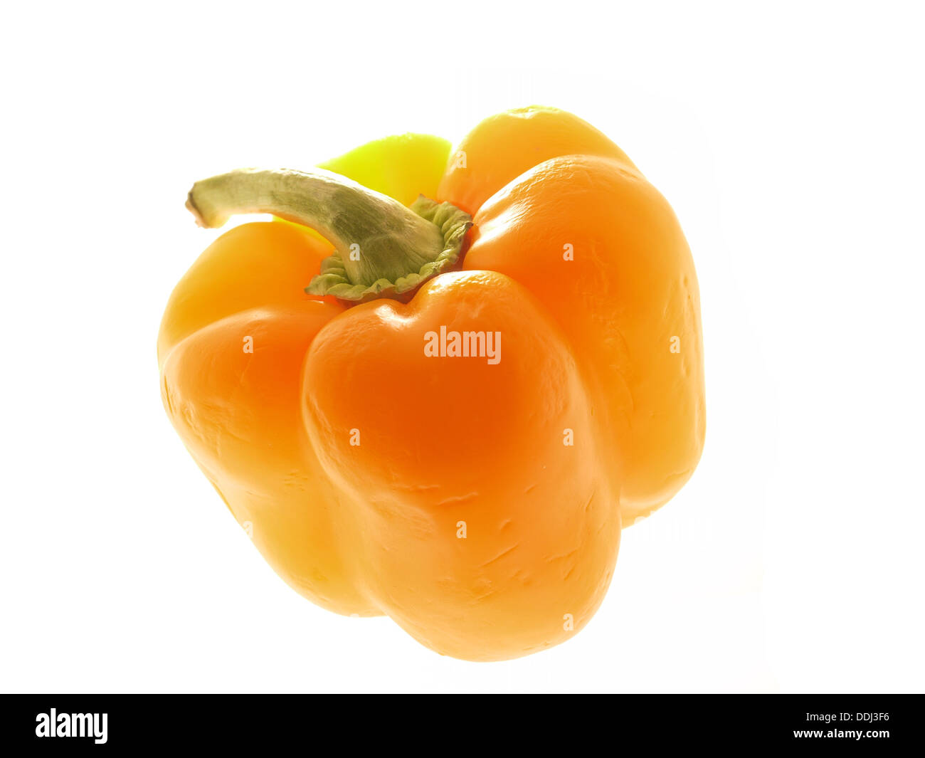 Vector pepper paprika on Cut Out Stock Images & Pictures - Alamy