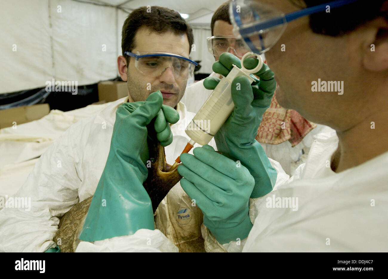 Inside interior oil tanker hi-res stock photography and images - Alamy