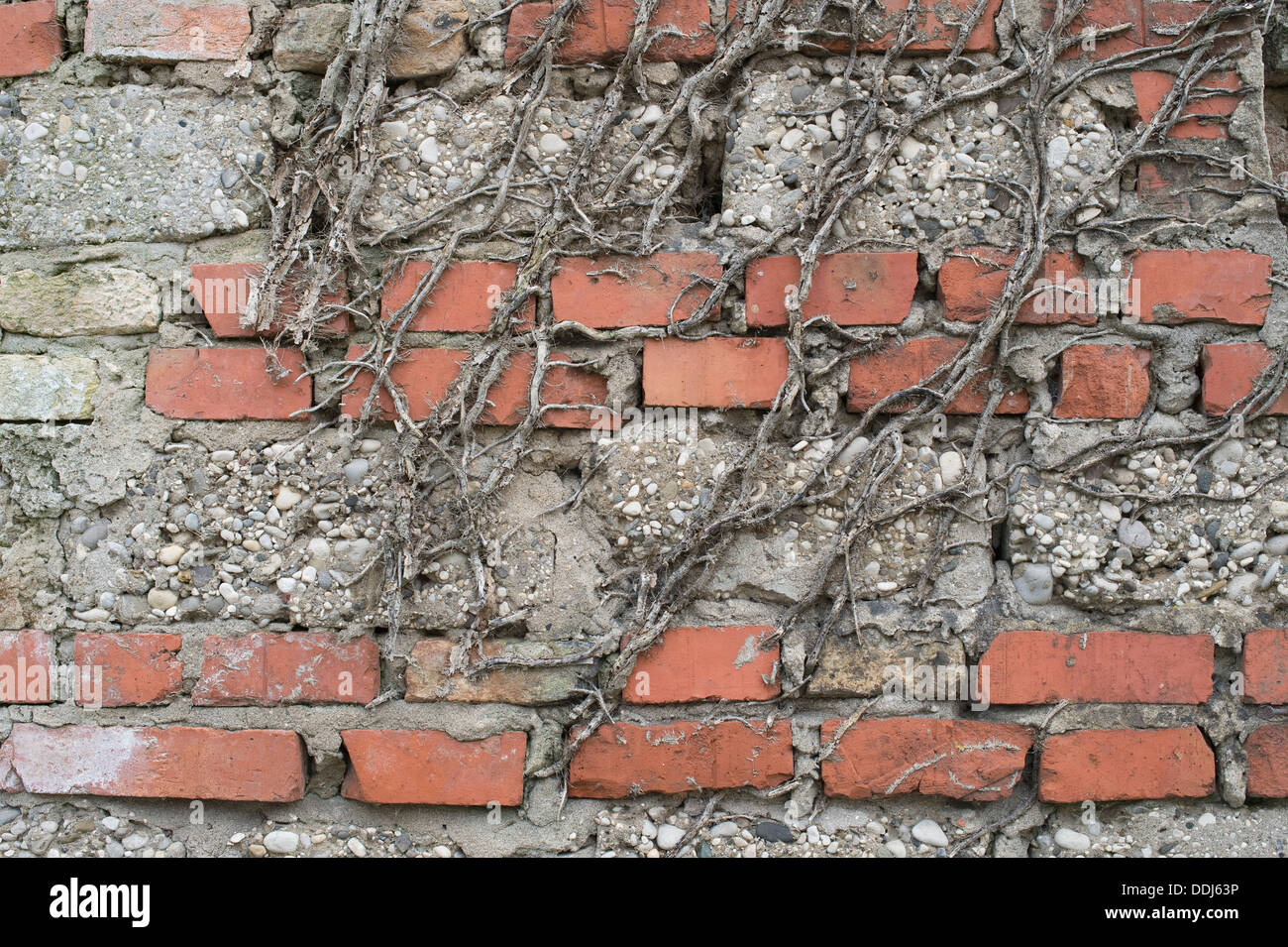 Italy, Construction of house wall with brick Stock Photo - Alamy