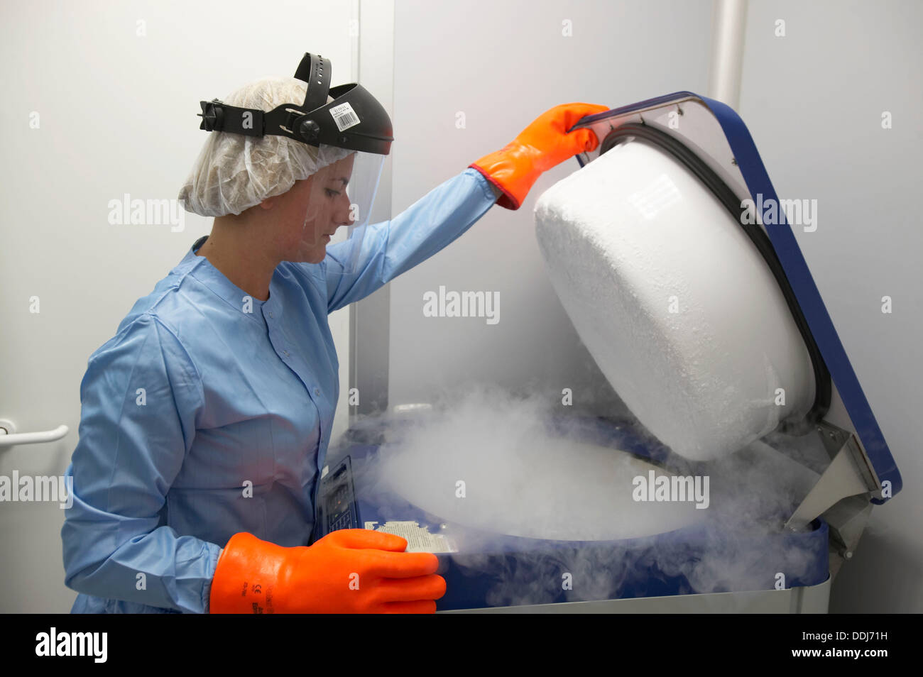 Cryogenic samples in liquid nitrogen hi-res stock photography and ...