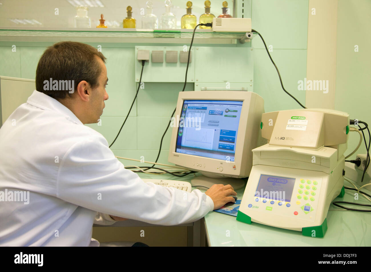 PCR-RT, DNA analysis, Plant health laboratory. Neiker Tecnalia ...