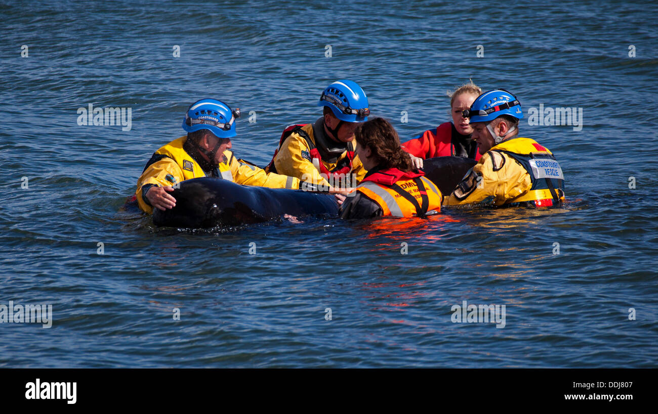 Stranded hi-res stock photography and images - Alamy