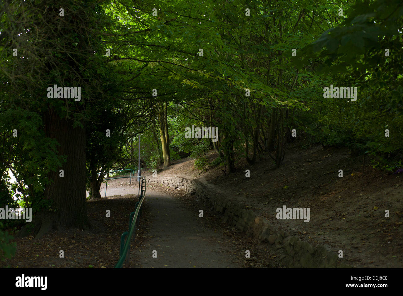 Old path in Brighton park, trees, leafy Stock Photo - Alamy