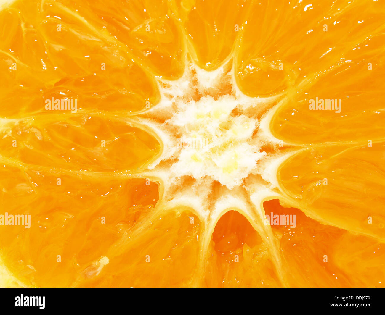 Pulp of the orange hi-res stock photography and images - Alamy