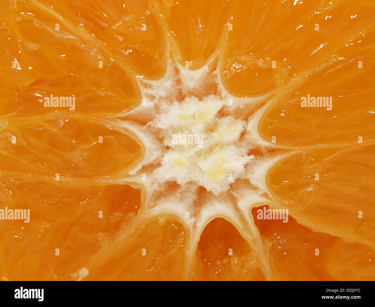 Pulp of a orange Stock Photo - Alamy