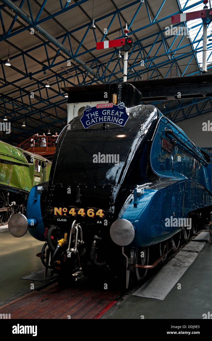 A4 Pacific steam train engine locomotive Bittern at Great Gathering ...