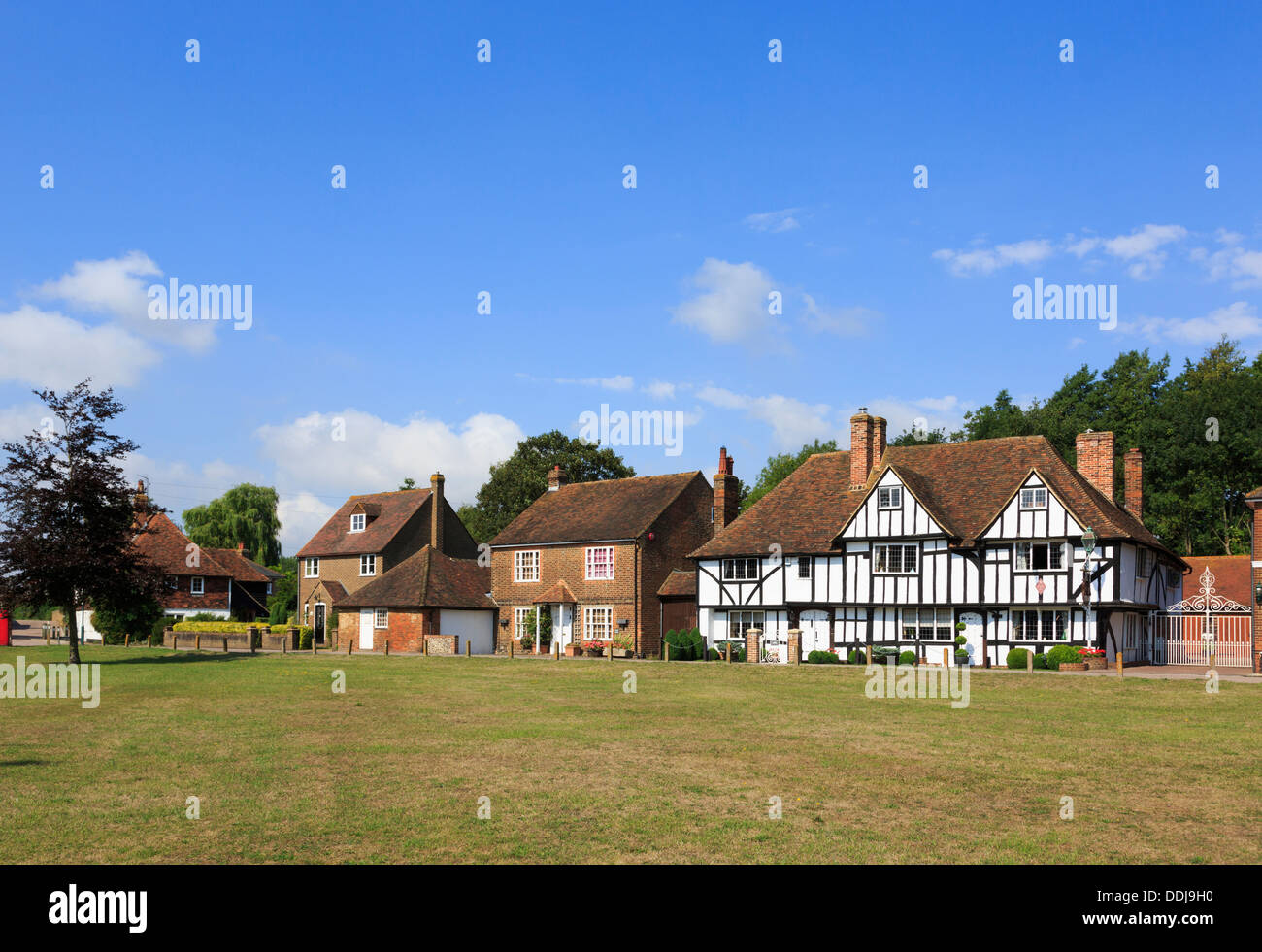 Old houses overlooking the village green in picturesque Chartham, near ...