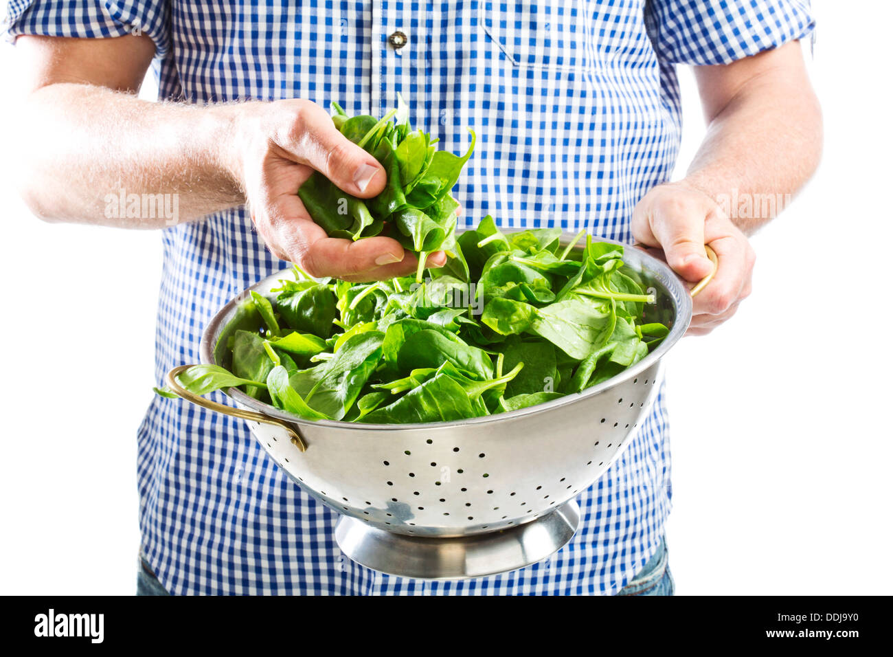 Mature man holding colander with spinach leaves against white ...