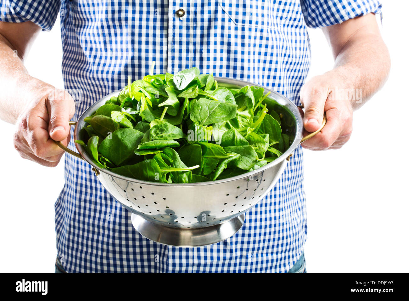 Mature man holding colander with spinach leaves against white ...