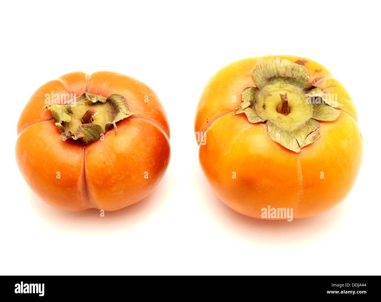 Persimmon on a white background Stock Photo - Alamy