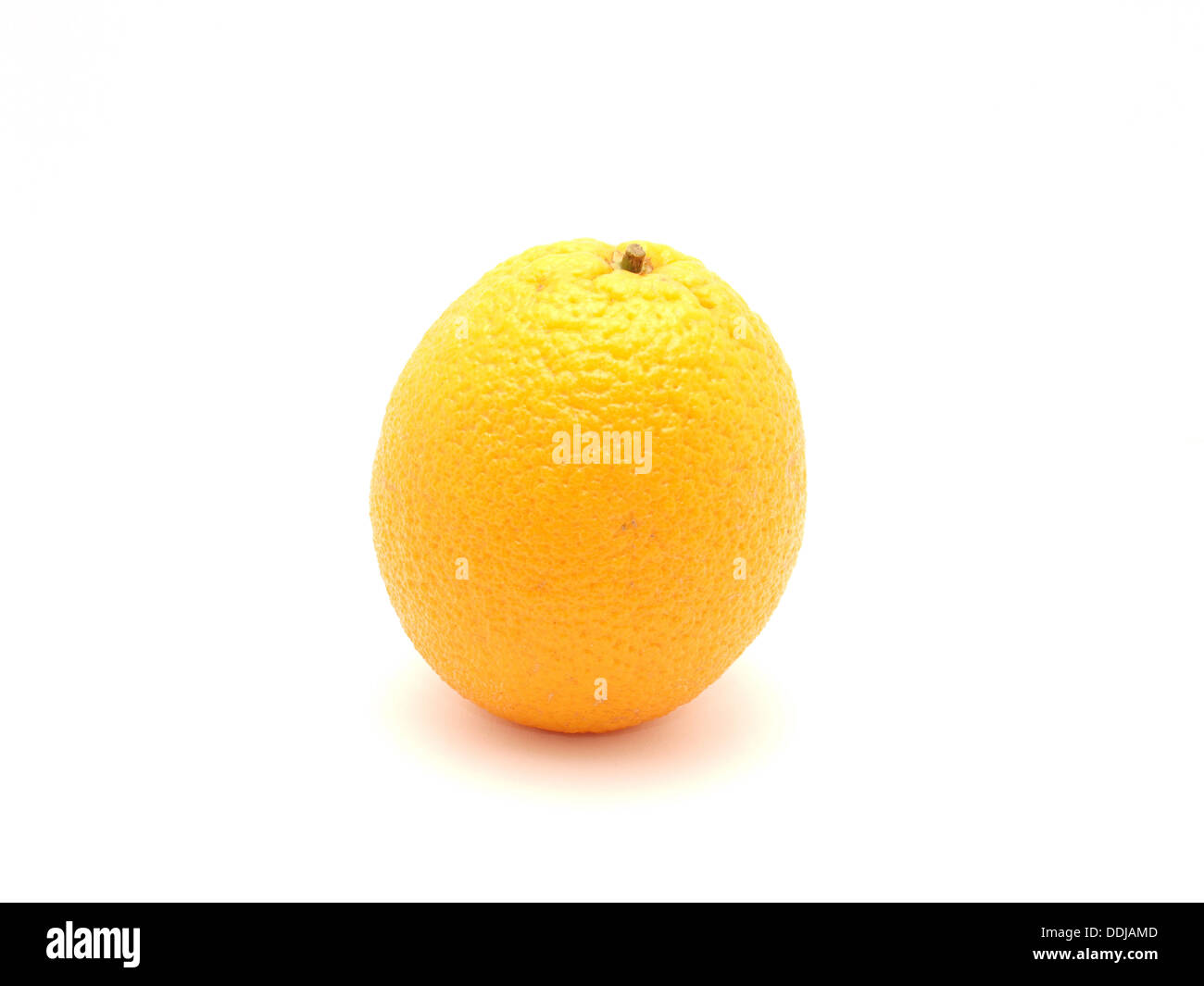 Orange on a white background Stock Photo - Alamy