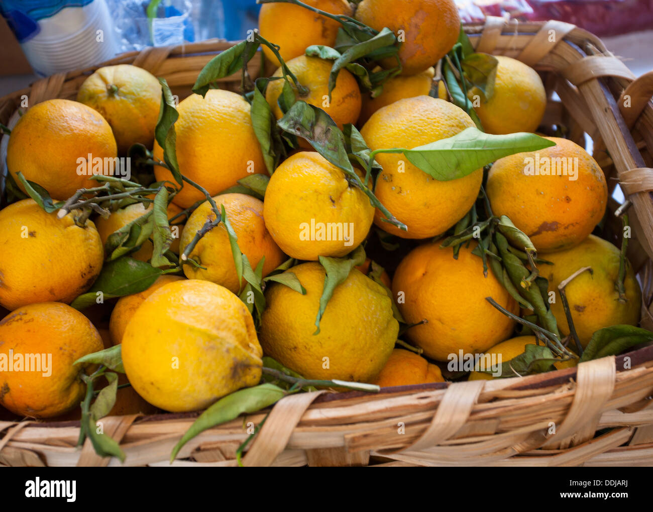 Lemons italy hi-res stock photography and images - Alamy