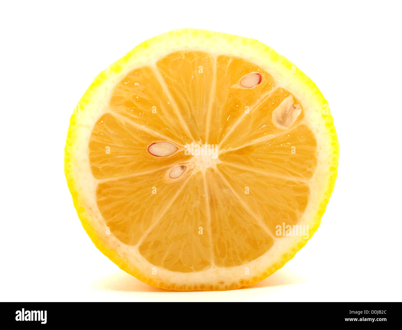 Lemon on a white background Stock Photo - Alamy